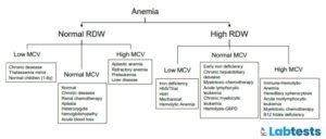 RDW (Red Cell Distribution Width) - Blood test clinical significance of ...