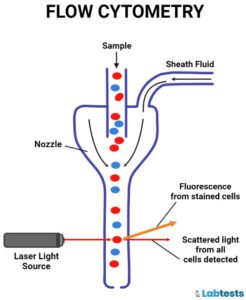 Fluorometer : Principle (Fluorometry), Types, Diagrams and Applications ...