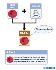 HbA1c test - Normal Range (Values), Calculator (Chart) and Interpretation